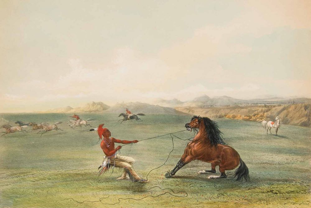 Collection of 6 colored lithographs | Scottsdale Art Auction